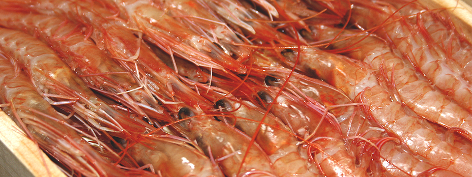 mariscos_méndez_productos - Mariscos Méndez